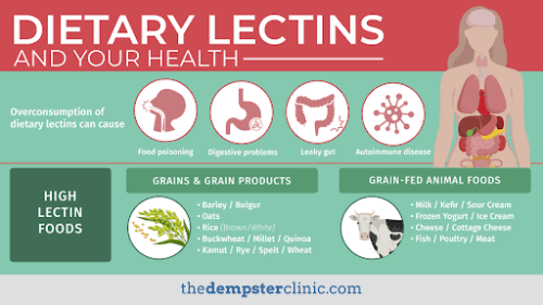 Are Lectins the New Gluten? - The Dempster Clinic