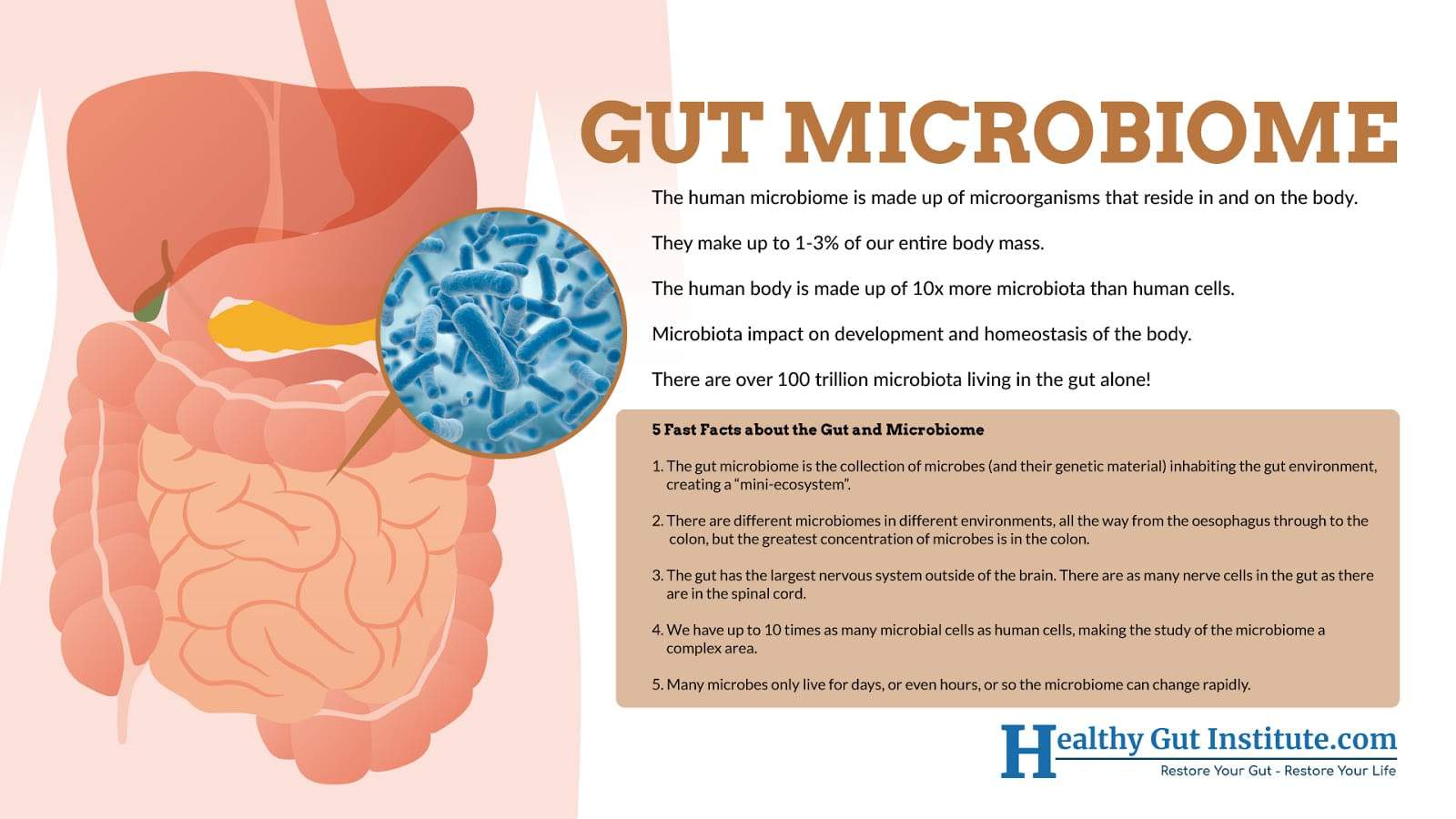 How Prebiotics and Probiotics Can Transform Your Health - The Dempster ...