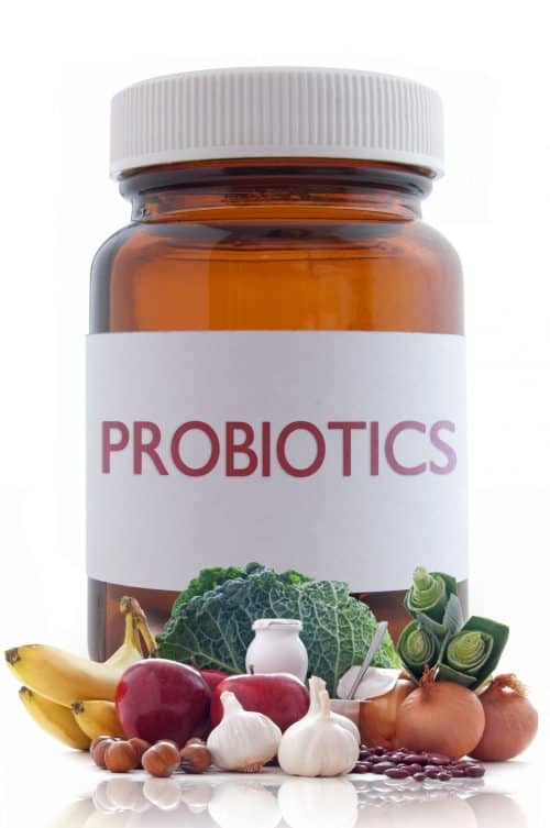 How Prebiotics and Probiotics Can Transform Your Health - The Dempster ...