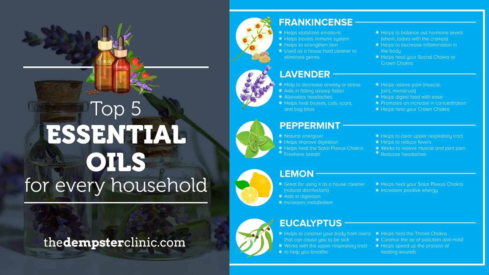 The Ultimate Guide To Essential Oils: Everything You Need To Know To ...