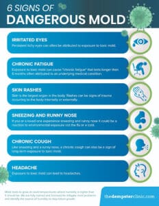 The Dangers Of Mold Exposure: How To Keep These Toxic Compounds At Bay ...